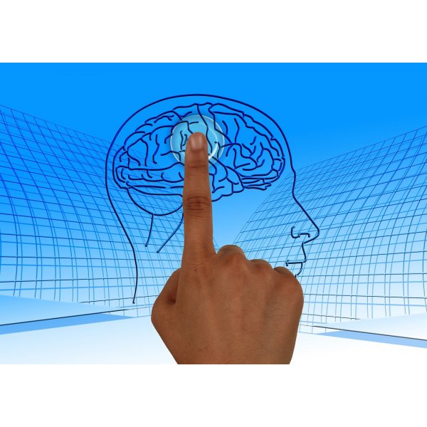 Mémoriser grâce au calepin visuo-spatial